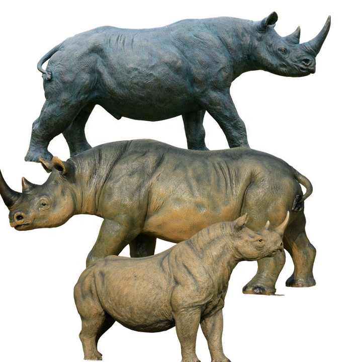 Outdoor Life Size Fiberglass Wild Animal Rhinoceros Sculpture ...