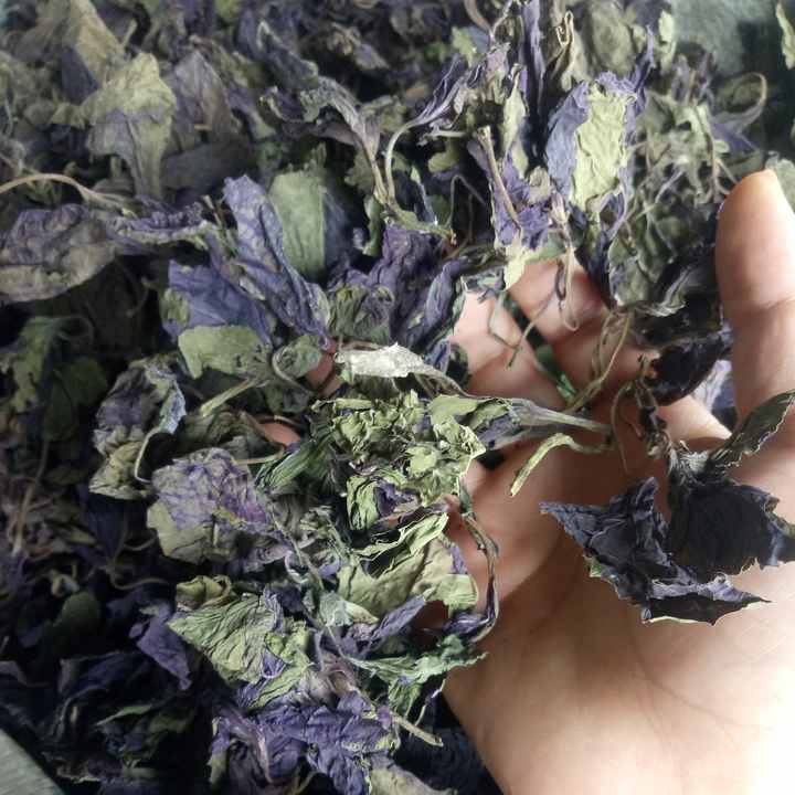 Zi Su Ye Chinese Herb - Dried Perilla Leaves for Spice