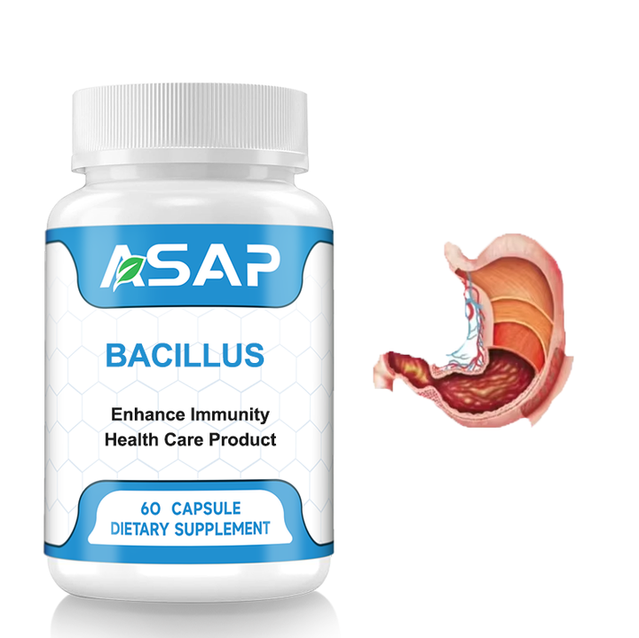 OEM Food Grade Probiotics Bacillus Coagulans Supplement Bulk Bacillus ...