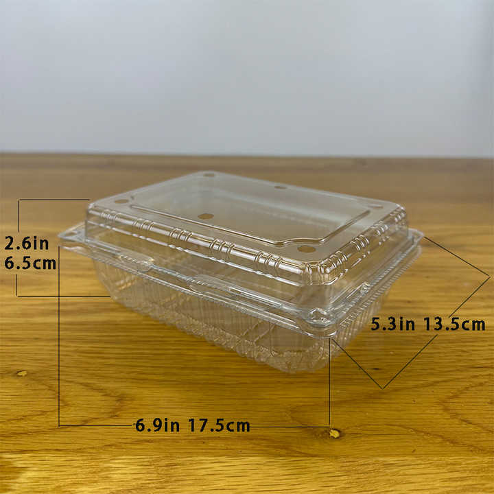 600pcs/carton Disposable Transparent Plastic Boxes for Food