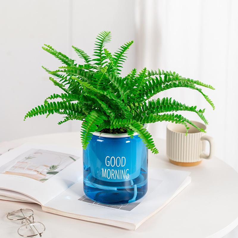 How to Choose Thermacol Plant Pots: A Complete Buying Guide