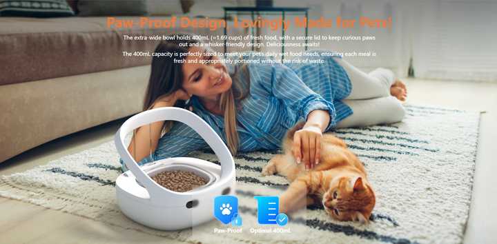 Factory Automatic Cat Feeder Timed Smart Dog Food Microchip Auto Pet ...