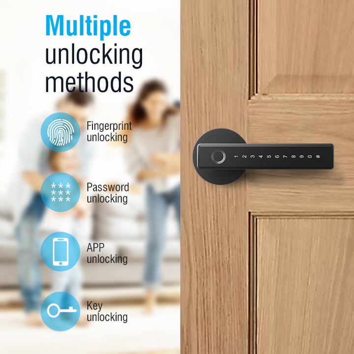 Te'an Fingerprint Digital Door Lock Electric Password Lever Handle ...