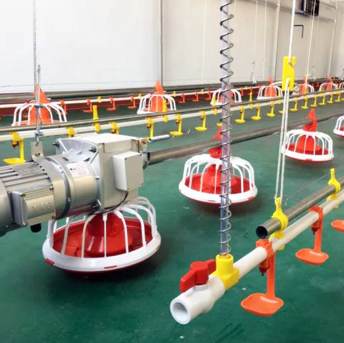 Automatic Broiler Feeding & Drinking Water Line System for Poultry ...