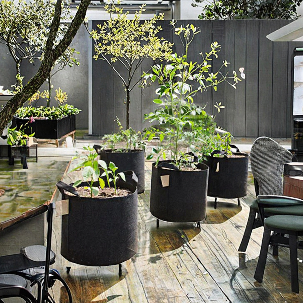 How to Choose the Best Tree Bag Pans for Planting and Transplanting