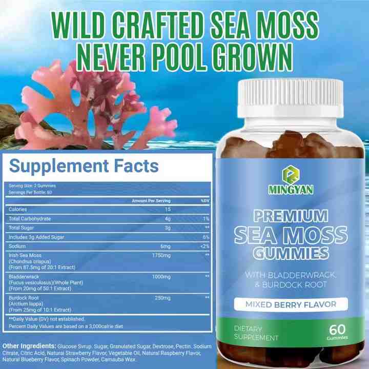 OEM /ODM Sea Moss Gummies Herbal Supplement, Digestive Balance & Energy ...