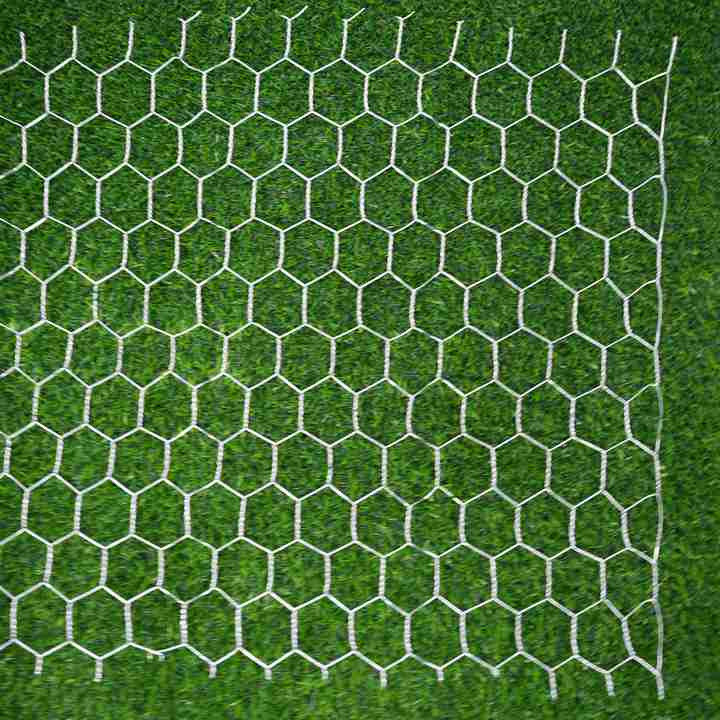 Metal Galvanized Iron Supplier Fencing Hexagonal Fence Netting Chicken ...