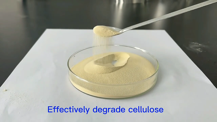 Fish Feed Premix Cellulase Enzyme Acid Protease| Alibaba.com