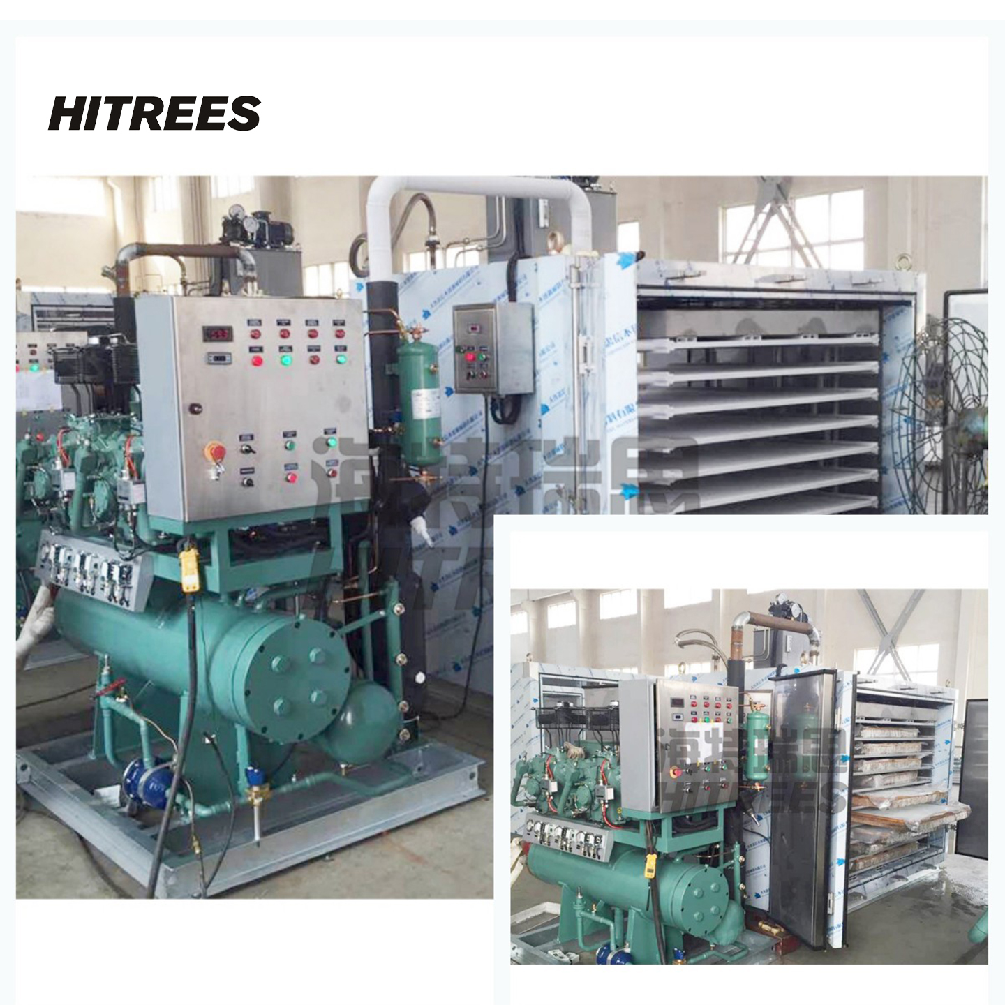 Maximize Efficiency with Reliable horizontal plate freezer price for ...