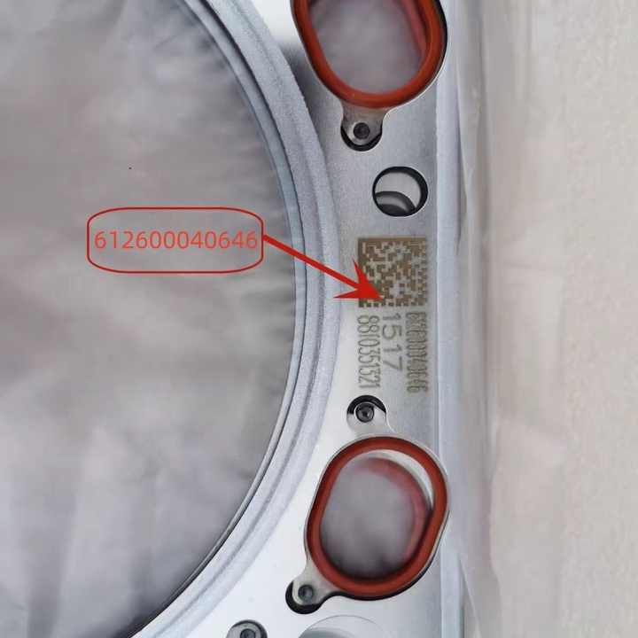 Shacman Sinotruk Heavy Duty Truck WEICHAI Engine WP10 Parts Cylinder ...