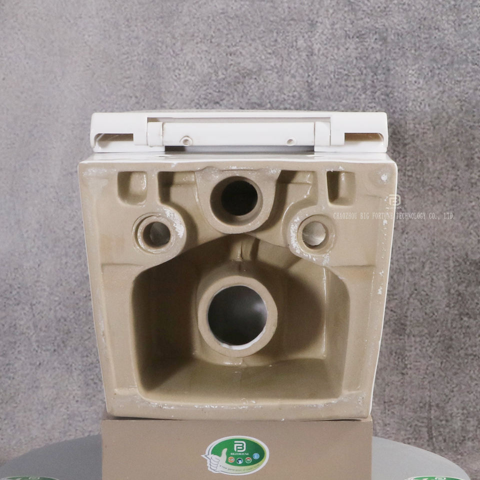 European Style Rimless Wall-hung Toilet Wc Wall Mounted Hanging ...