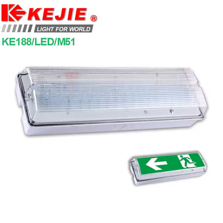 LED Emergency Bulkhead Factory ODM Ceiling Mounted Emergency Bulkhead ...