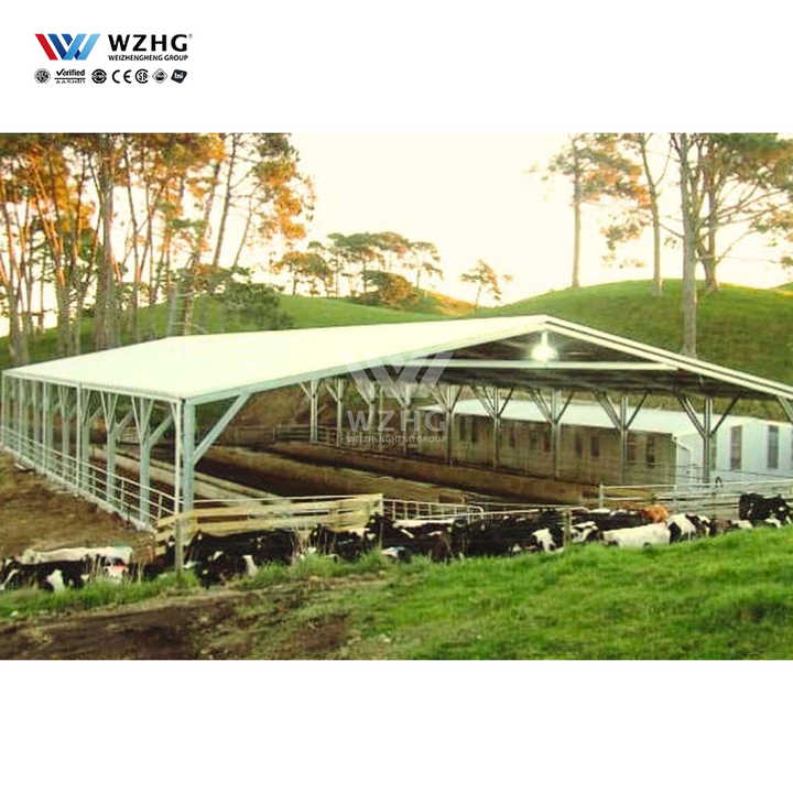Steel Structure Cow Shed Construction Pre Engineered Dairy Farm ...