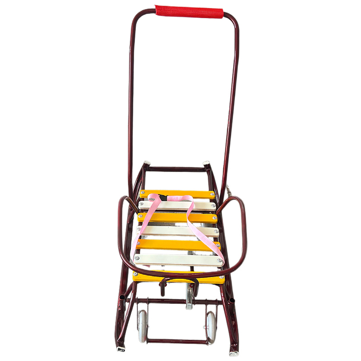 Multi-functional Stroller Sled,Multi-scene Use on Land and Snow,Snow ...