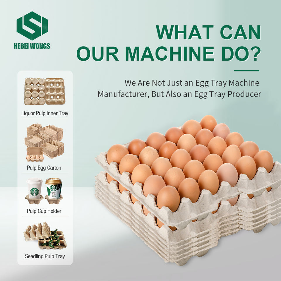 Wongs 6-8 Egg Tray Machine 6500-7500Pcs/Hour Food Grade Egg Tray ...