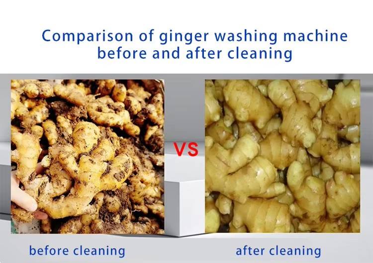 Efficient Dirt Removal Ginger Washing Machine with Bottom Drain Valve ...