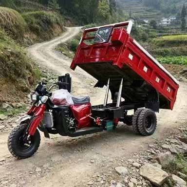 Five Wheel 250cc Cargo Motorcycle with Large Cargo Box for Agricultural ...