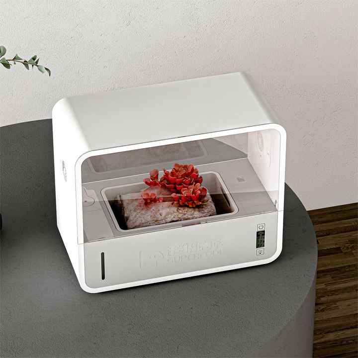 Portable Home Greenhouse Mushroom Growing Container Grow Box Mushroom ...