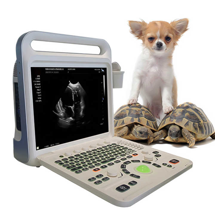12 Inch Veterinary Color Doppler Ultrasound Pet Hospital Equipment ...