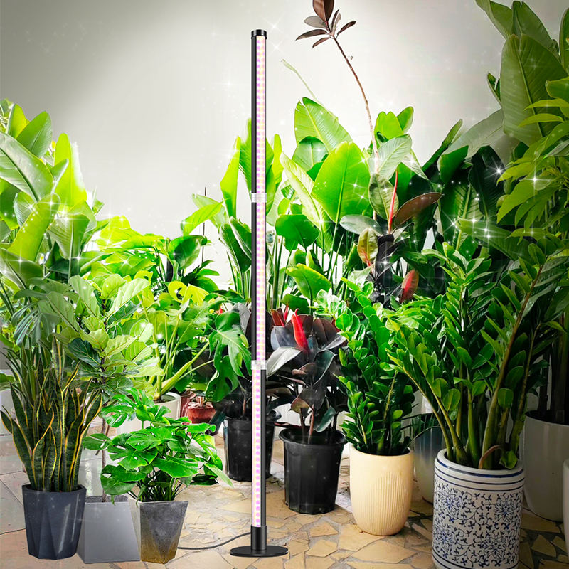Standing Grow Light for Indoor Plants LED Plant Light Hanging and ...