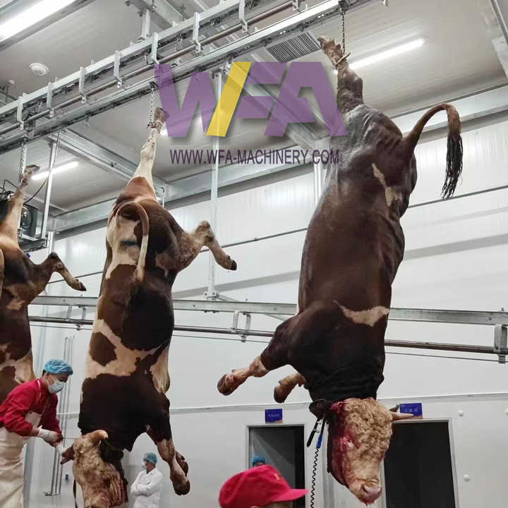 Complete Slaughterhouse Turnkey - High Efficiency Meat Processing