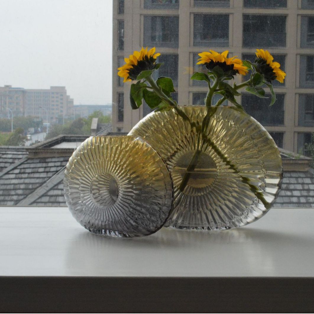 Wholesale Ellipse Glass Vase Nordic-Inspired Design | Alibaba.com