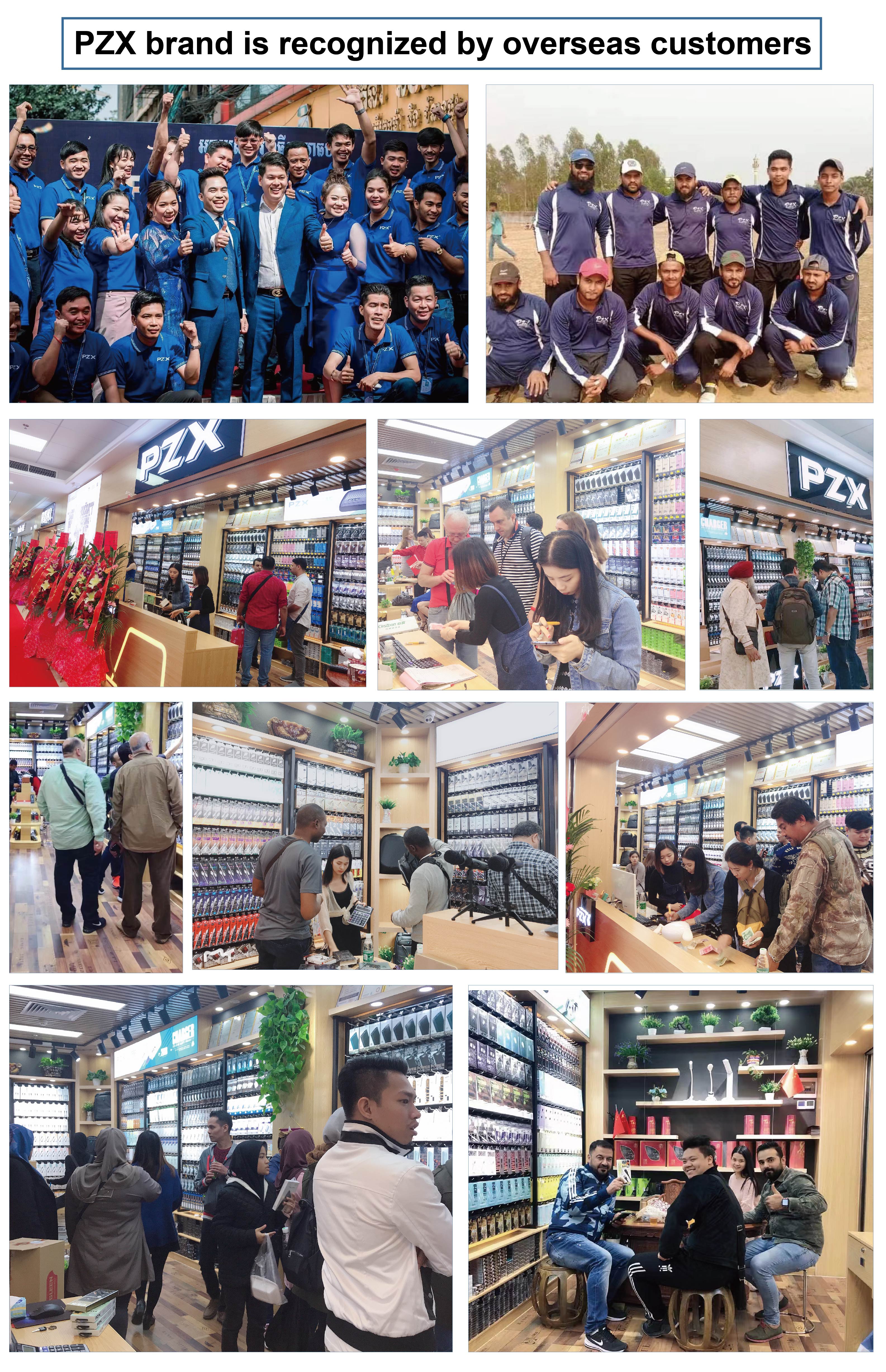 2022 PZX P50 Power Adapter - 22.5W Fast Charging for Mobile