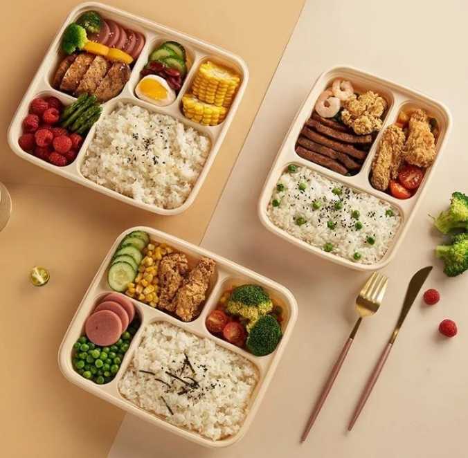 Restaurant Disposable Biodegradable Takeaway Food Container Packaging ...