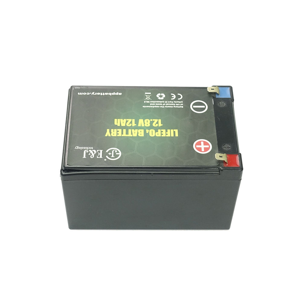 12V 12Ah Rechargeable LiFePO4 Battery | Built-in BMS for Safety ...