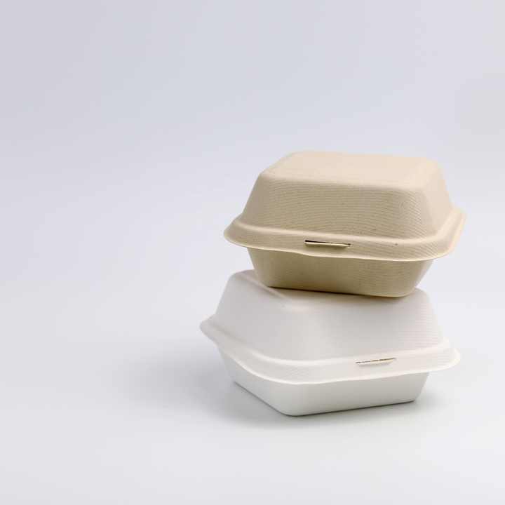 Clamshell Takeaway Food Box Biodegradable Paper Pulp Lunch Container ...