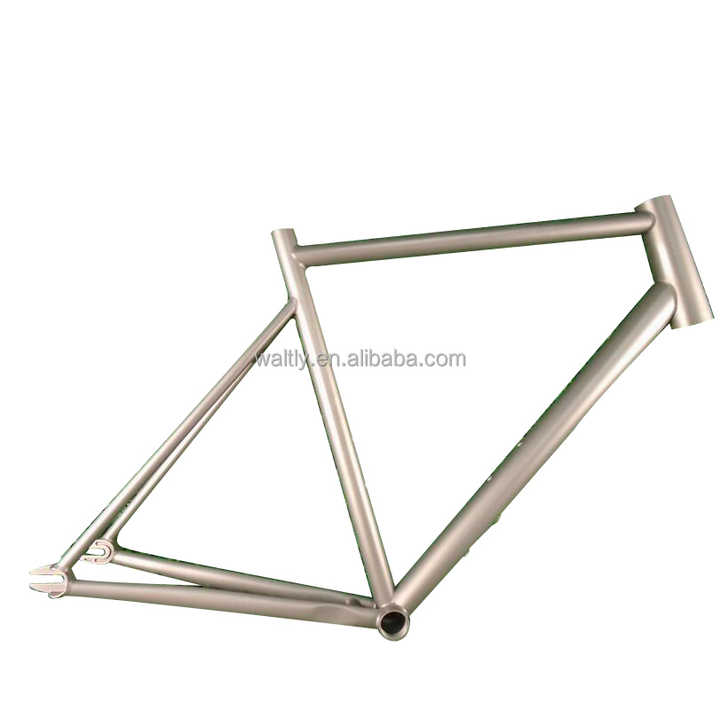 Simple Design Titanium Fixed Gear Frame with Mounts