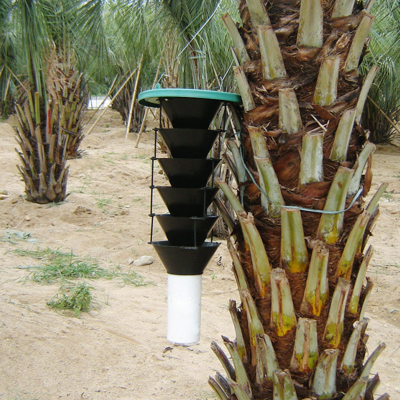 Plastic Multi Funnel Black Palm Weevil Coleoptera Beetle Insect Trap ...