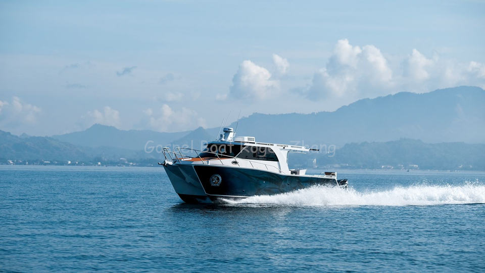 Gospel Boat 10-12m High Speed Catamaran - Customized Fishing Boat