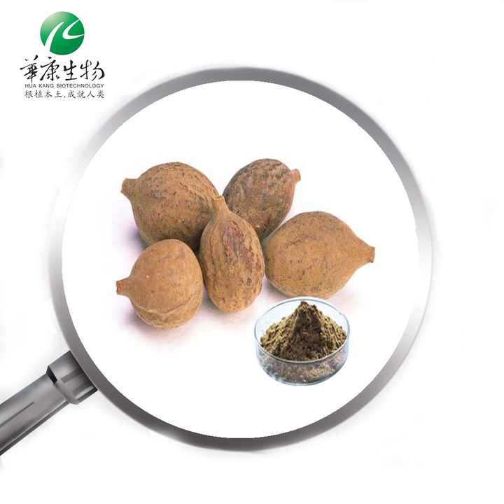 60% Tannins Terminalia Catappa Extract - Health Benefits