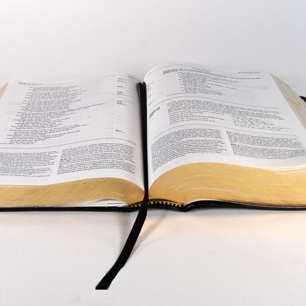 Bible Story Pictures Color - 3D Foam Puzzle Models for Kids