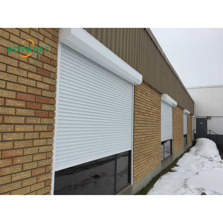 Smart Motorized Shutter Doors with Remote Access and Secure Shutters ...