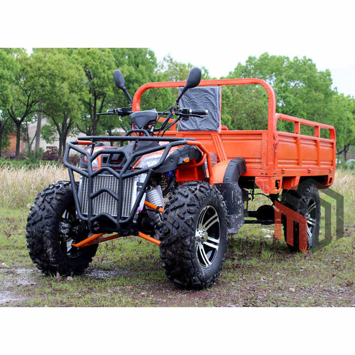 Shengmiao 4WD off-Road Utility Vehicle - Durable & Versatile