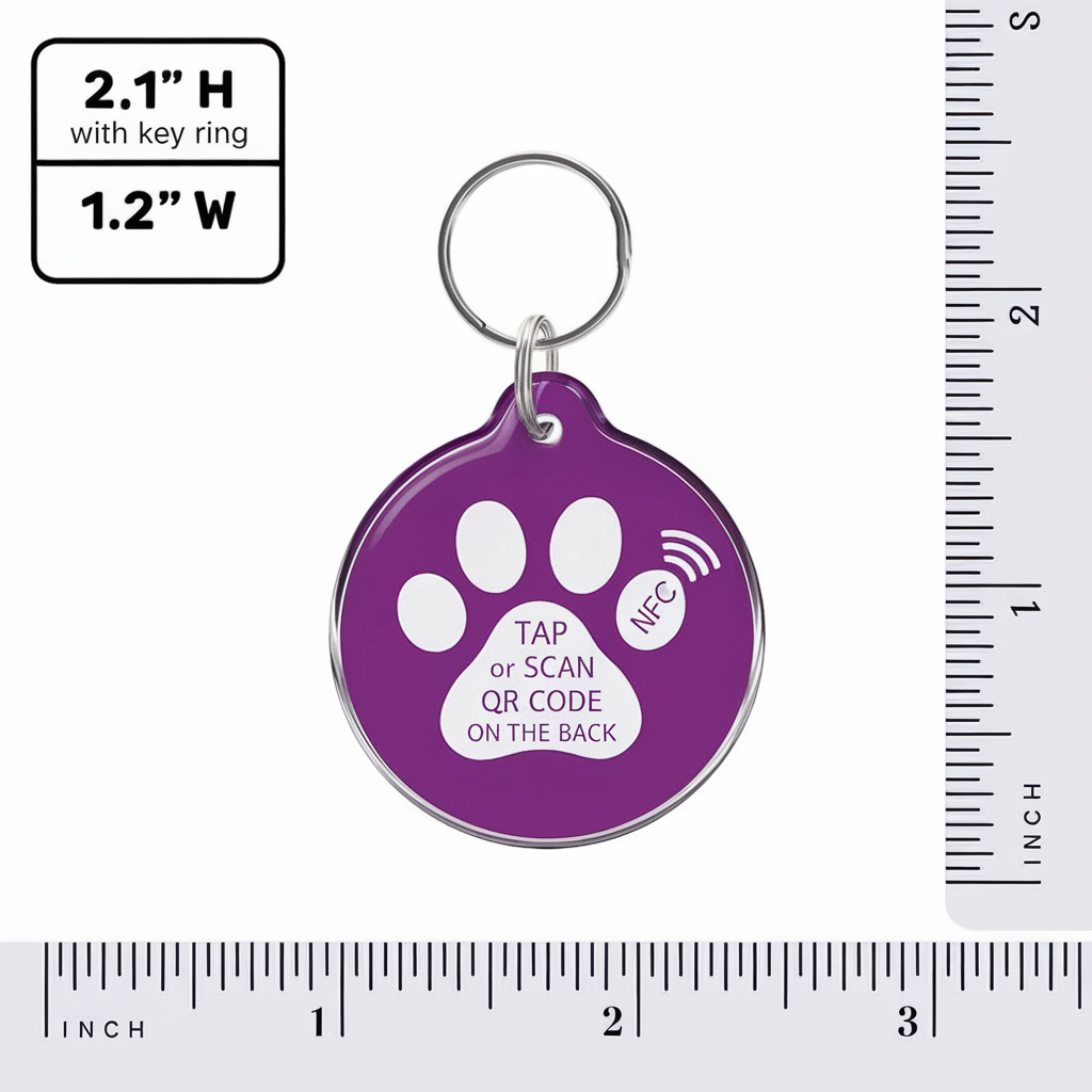 How to Choose the Best NFC Dog Tag for Your Pet