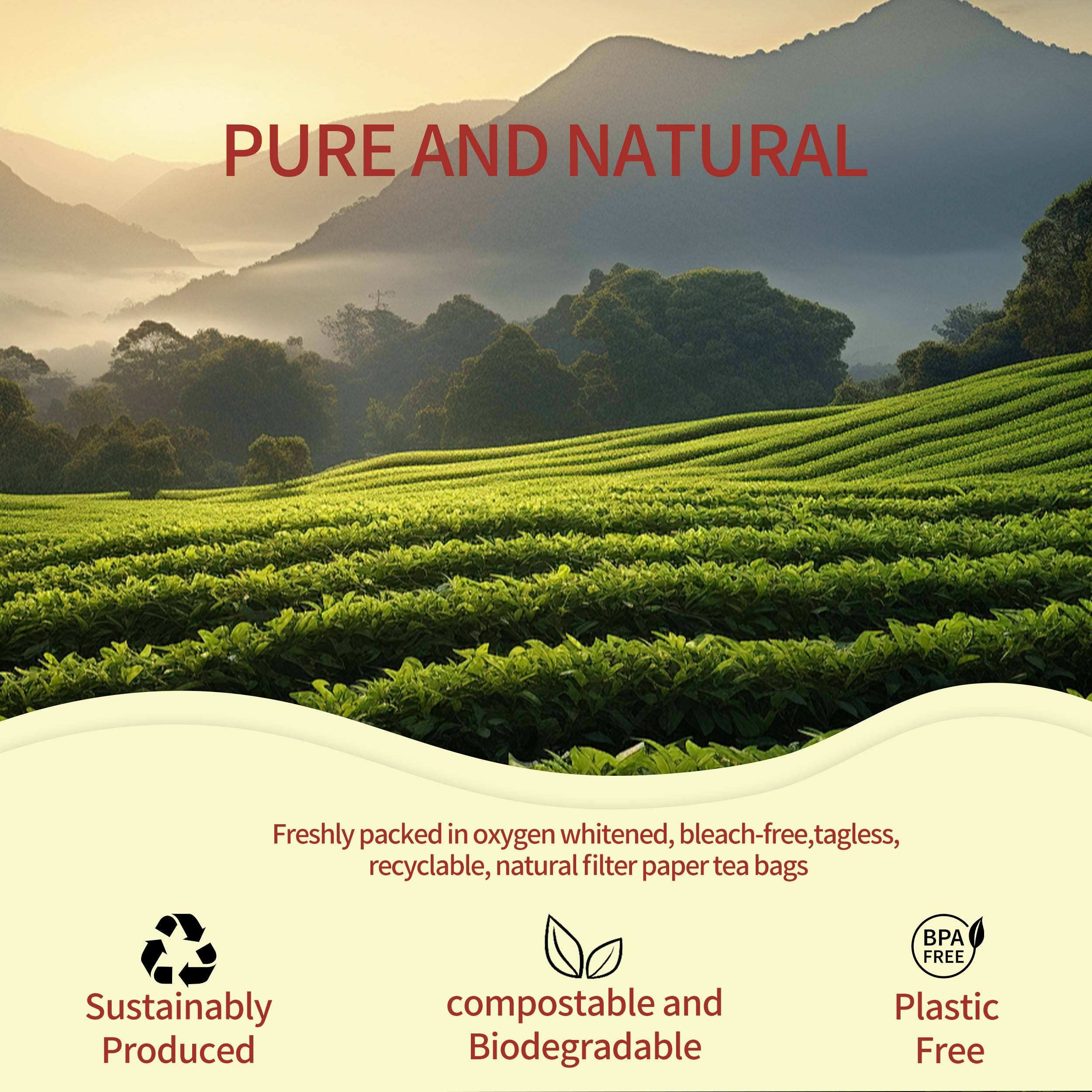 How to Choose the Best Rooibos Tea: A Complete Buying Guide