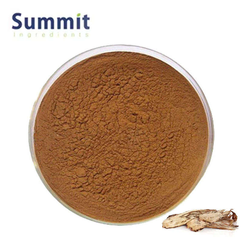 Dong Quai Powder Pure Natural Dong Quai Extract Angelica Sinensis ...