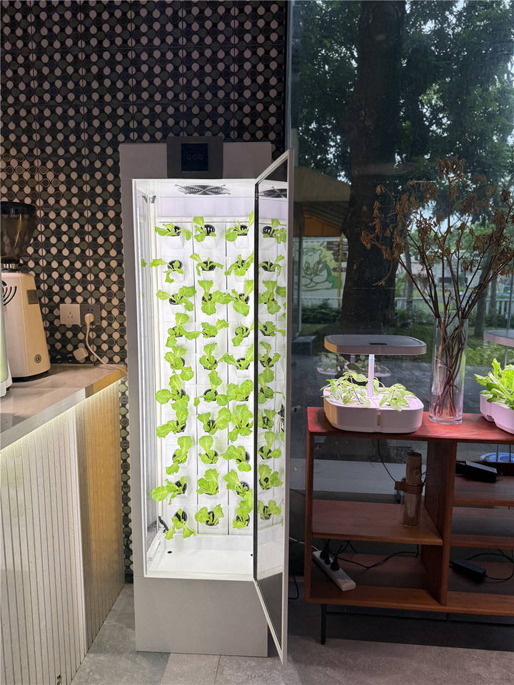 Indoor Greenhouse Cabinet Hydroponics System with Grow Light Indoor ...