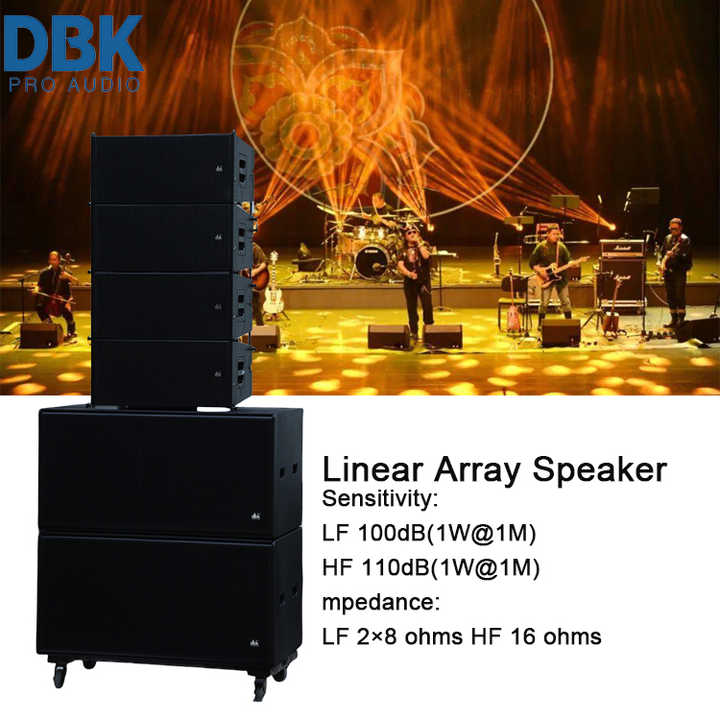 Professional Line Array PA System - Dual 10 Inch Speakers