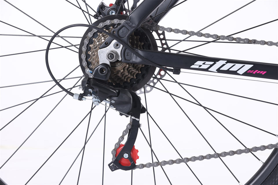 SAMPLE 29 Inch Mountain Bike All Alloy 21 Speeds MTB Unisex Universal ...