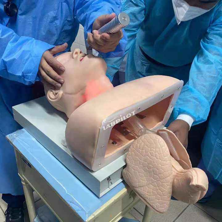 Trachea Intubation Training Model - Labpilot Manikin