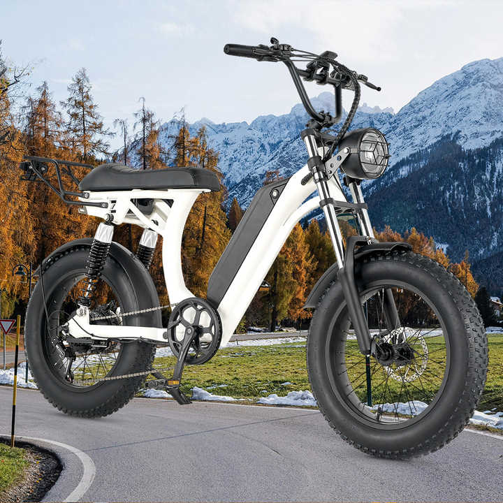 OEM Customized Portable Electric Bike - off Road Motorcycles