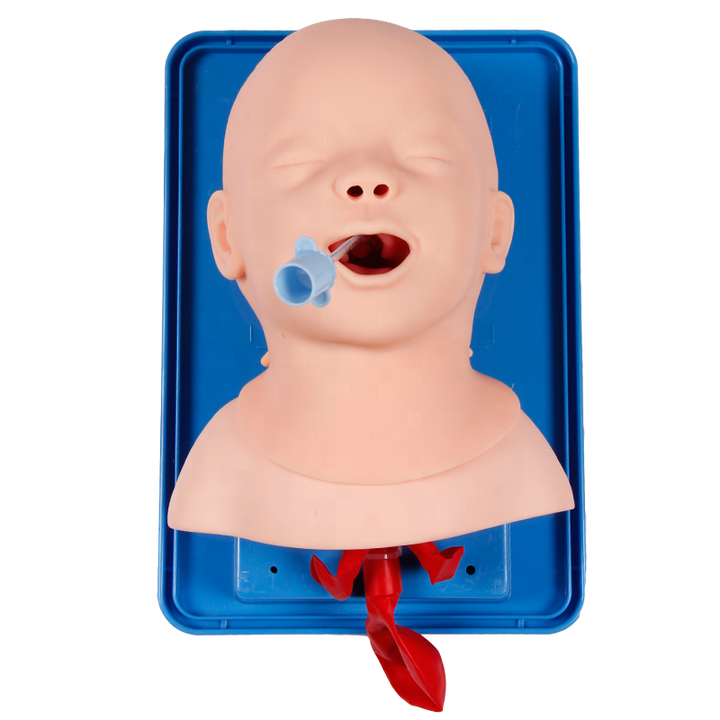 DARHMMY Advanced Infant Tracheal Intubation Model Medical Science ...