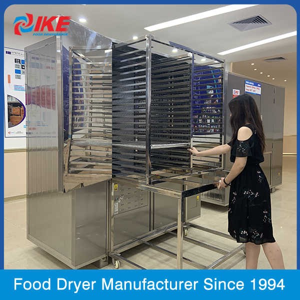 Industrial Fruit Cassava Drying Machine - Efficient Dehydrator