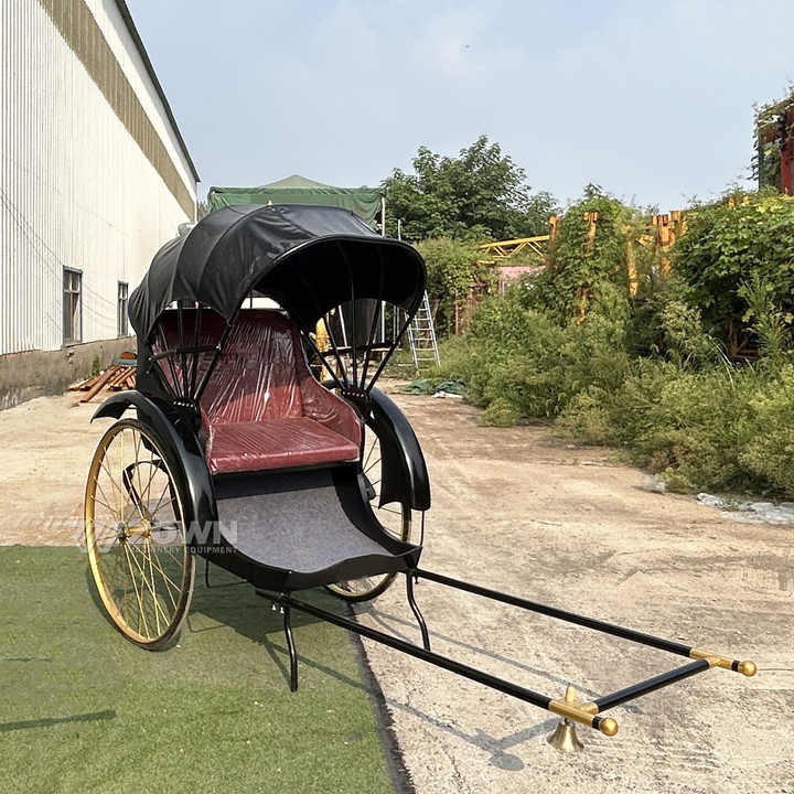 Old Style Rickshaw Horse Carriage New Arrival 2 Wheel Rickshaw with Low ...