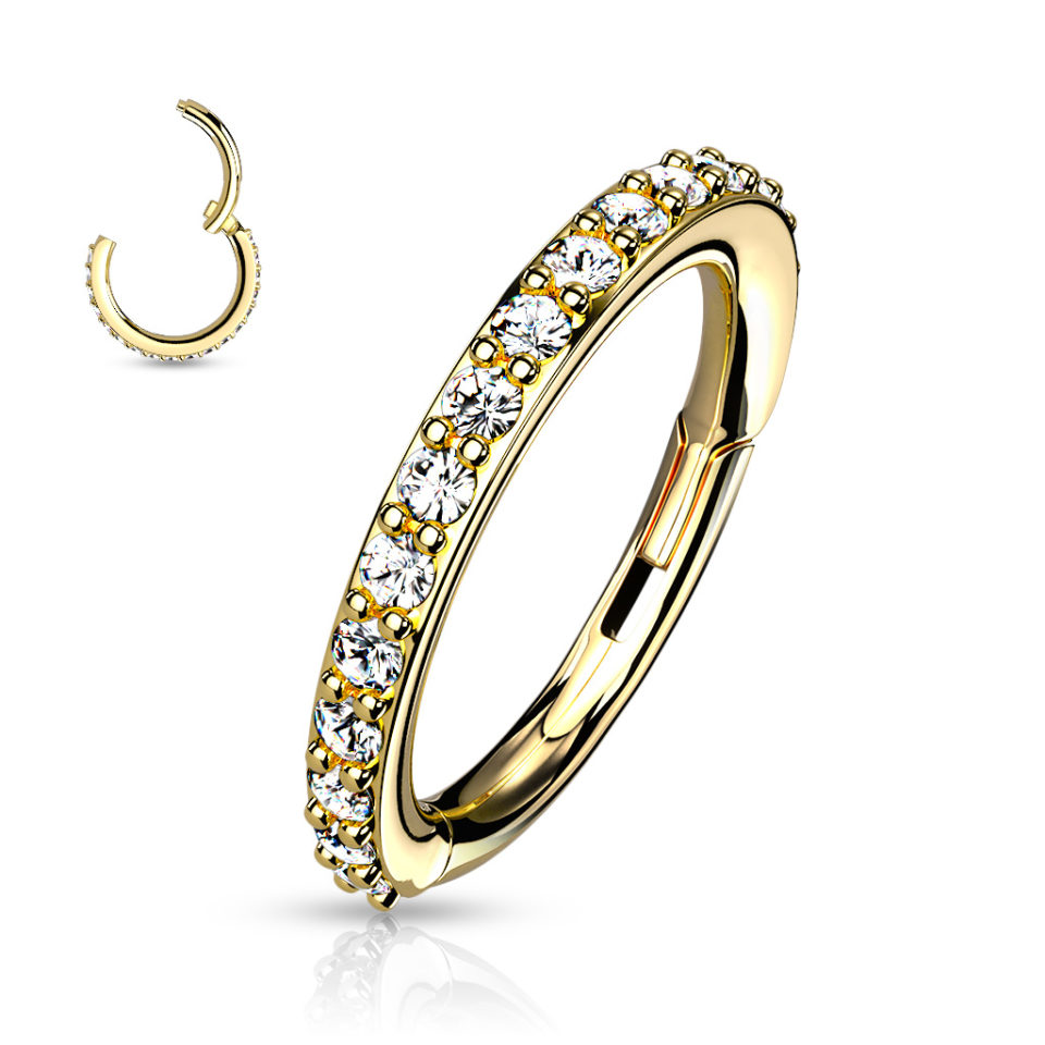 Wholesale G23 Titanium Cz Zircon Hinged Segment Rings Astm F136 Ti Body ...