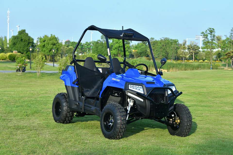 Luxury 200cc 4-Wheel Off-Road Recreational Utility Compact CVT Side-by ...
